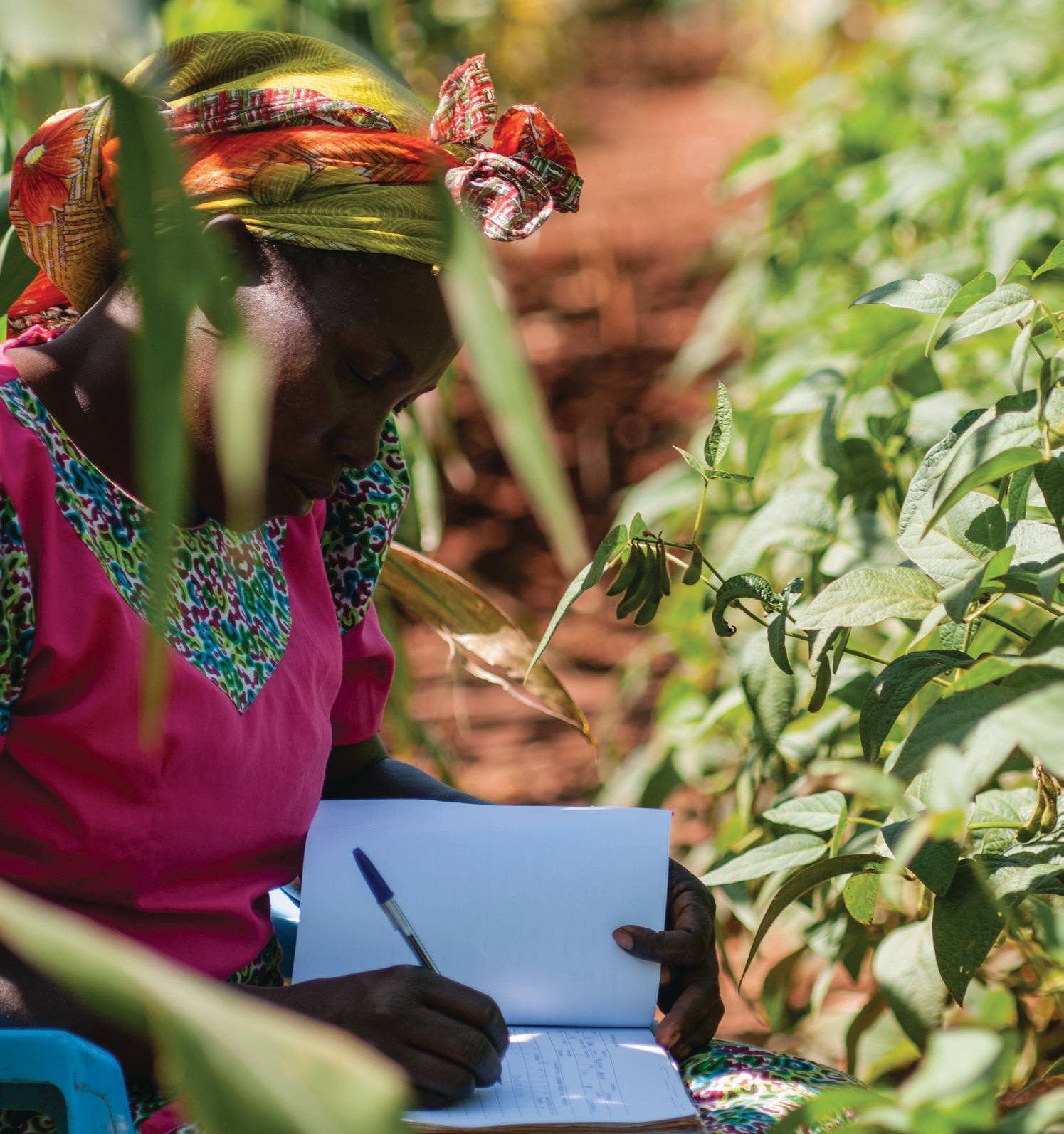 CBA SCALE - Knowledge Hub