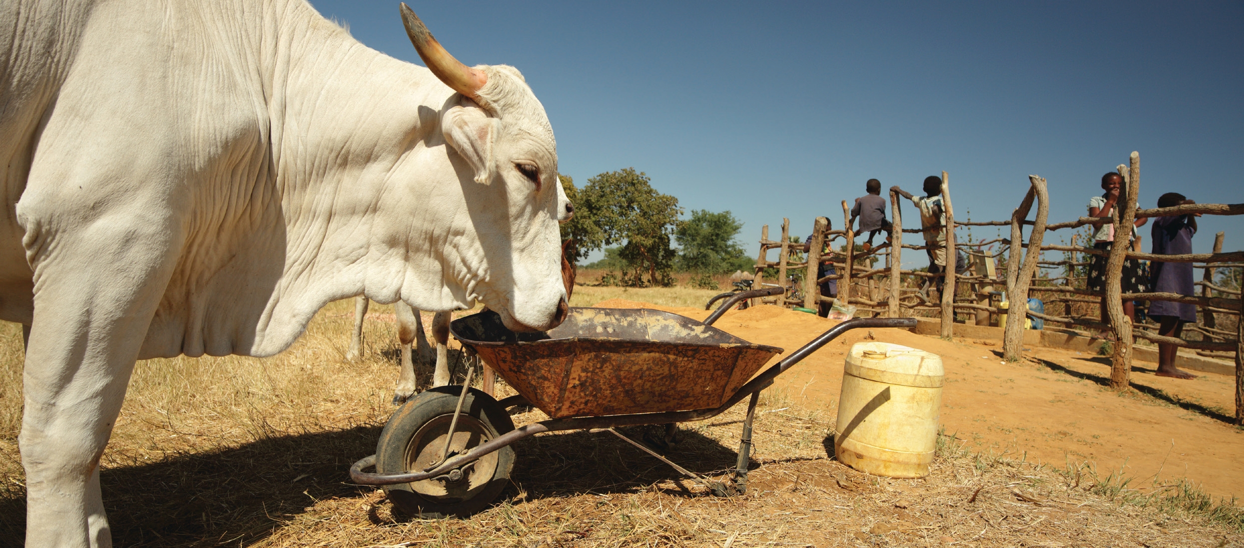 CBA SCALE - Knowledge Hub